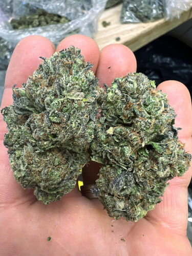 THCa Hemp flower Gelato Punch Premium | HAPPY SHAMAN Storehttps://static.wixstatic.com/media ...